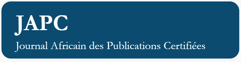 MS Solutions Lab | Innovation, IA & Transformation Numérique en RDC